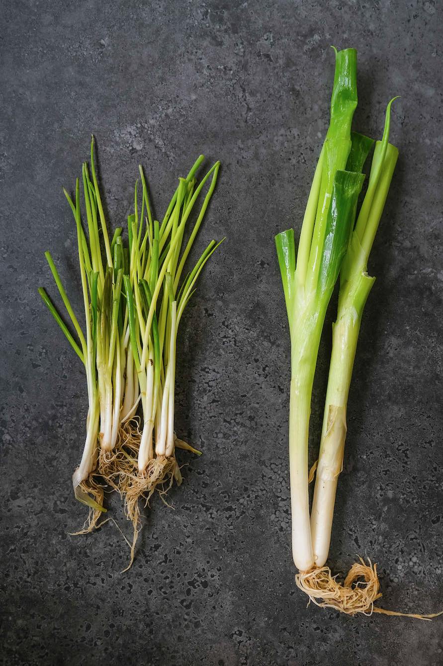 Easy Homemade Ginger Scallion Sauce (姜葱酱) - The Foodie Takes Flight