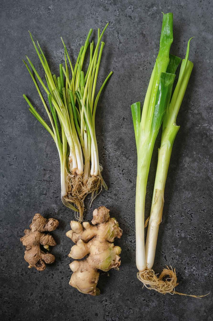 Easy Homemade Ginger Scallion Sauce (姜葱酱) - The Foodie Takes Flight