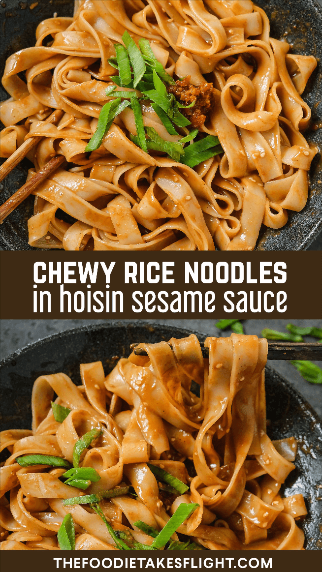 Chewy Rice Noodles in Hoisin Sesame Sauce - The Foodie Takes Flight