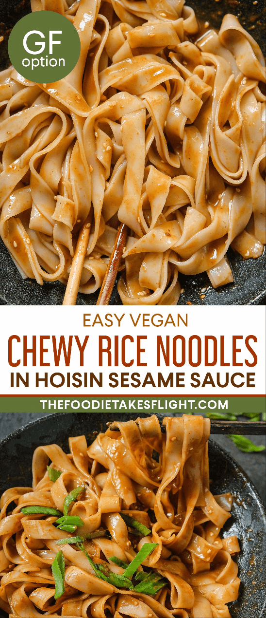 Chewy Rice Noodles in Hoisin Sesame Sauce - The Foodie Takes Flight