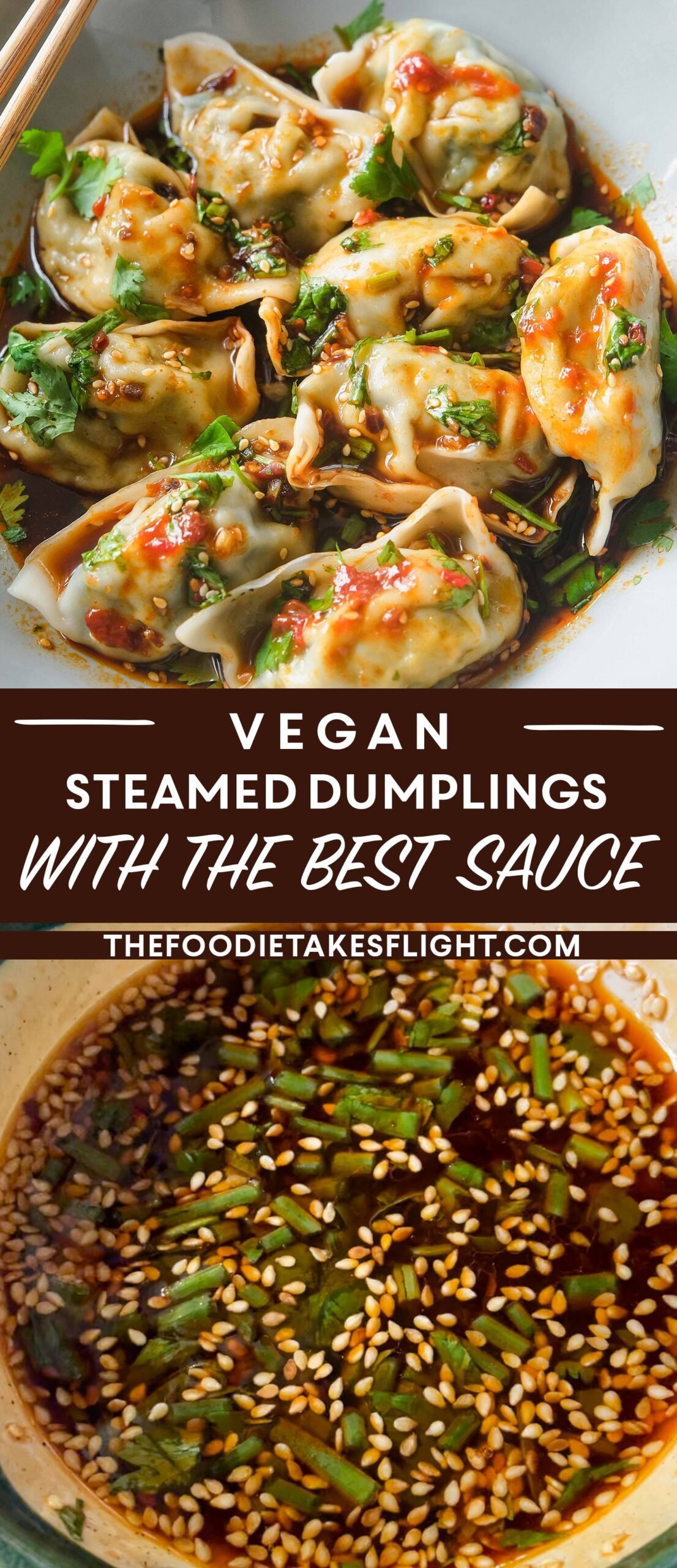 Steamed Dumplings with The Best Dipping Sauce - The Foodie Takes Flight