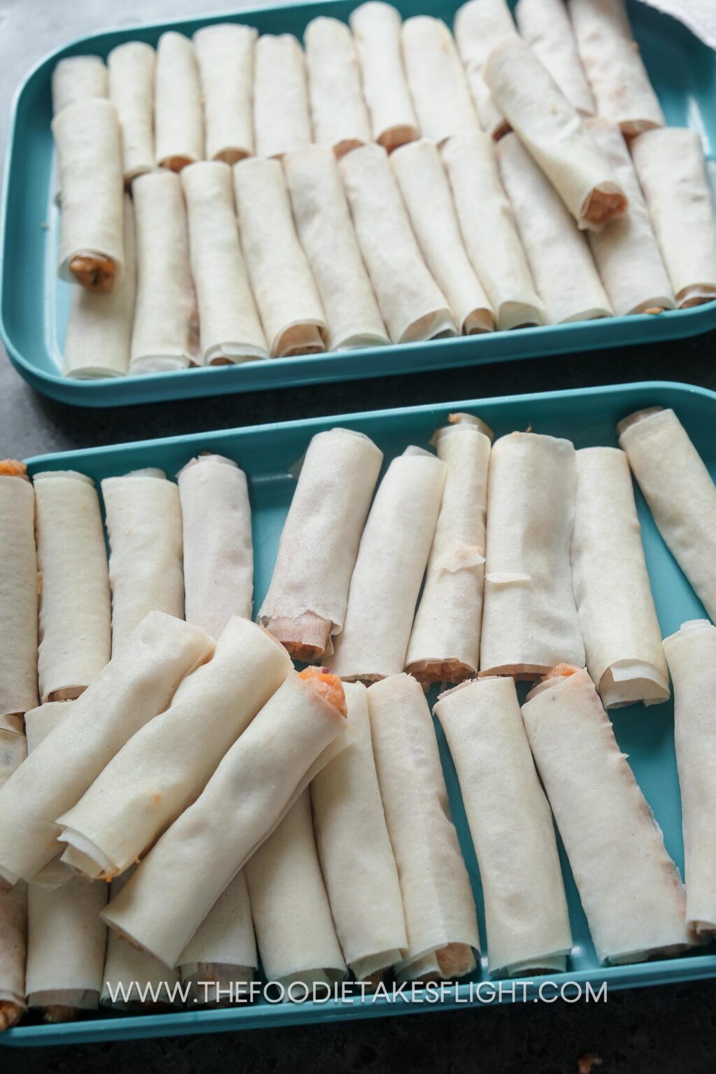 Lumpiang Shanghai (Filipino Spring Rolls) - The Foodie Takes Flight