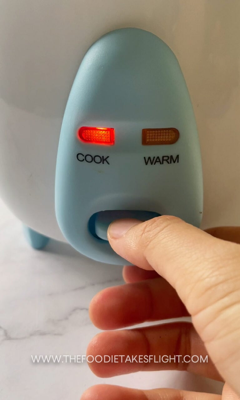 One Pot Rice Cooker Meal - The Foodie Takes Flight