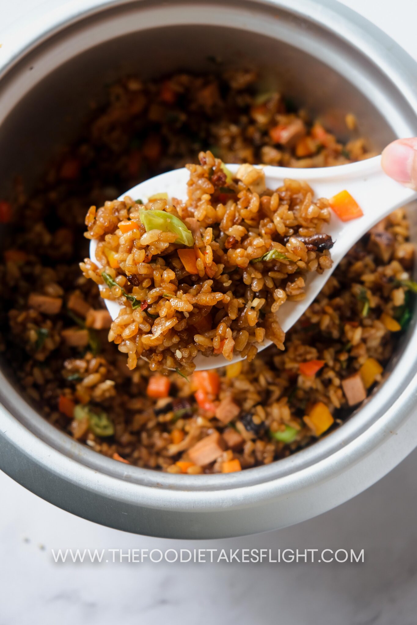 One Pot Rice Cooker Meal - The Foodie Takes Flight