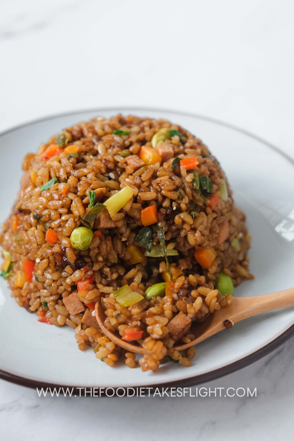 One Pot Rice Cooker Meal - The Foodie Takes Flight
