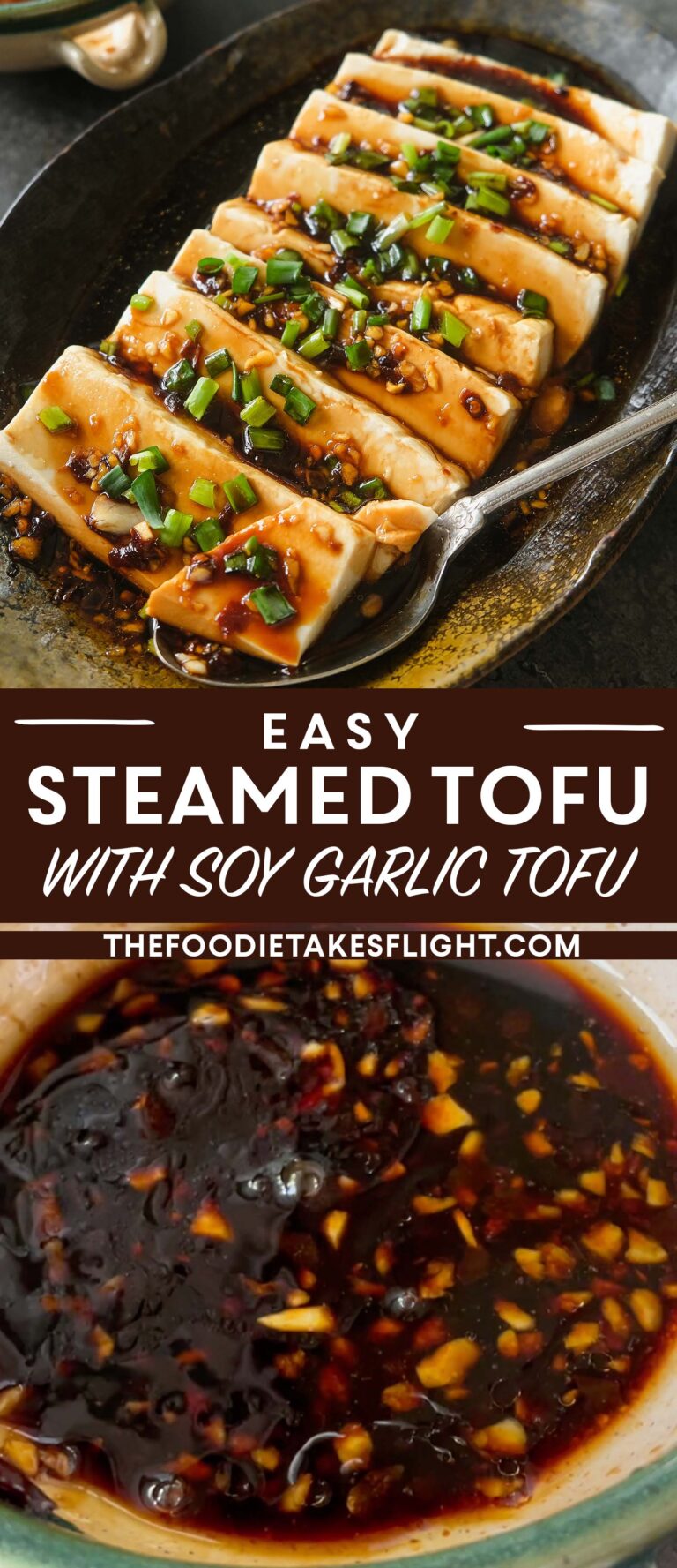 Steamed Tofu with Soy Garlic Sauce - The Foodie Takes Flight
