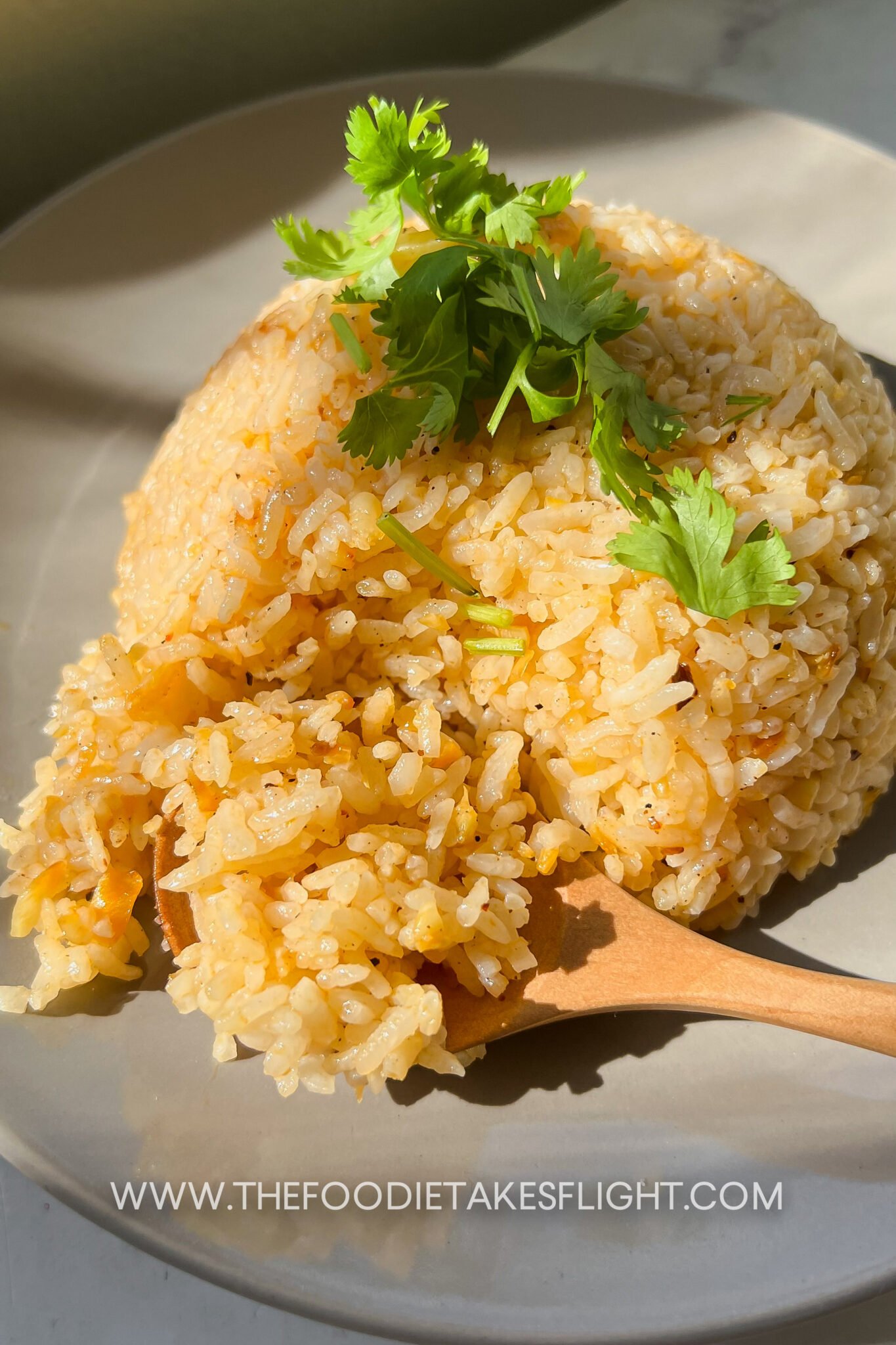 Chili Oil Sinangag (Filipino Fried Garlic Rice) - The Foodie Takes Flight