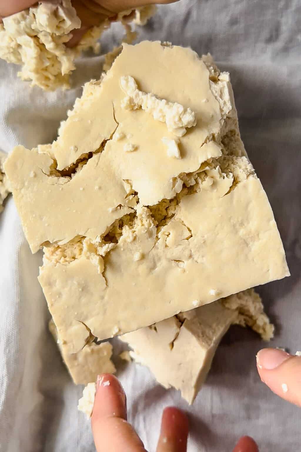 Tofu Giniling (Filipino Style Picadillo) - The Foodie Takes Flight