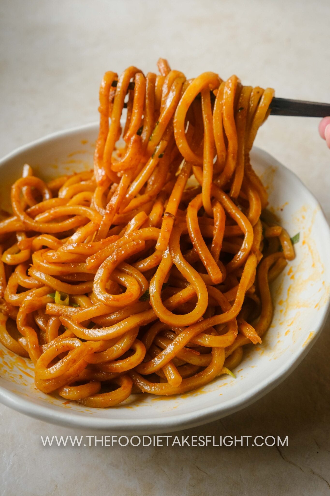 Ultimate Vegan Udon Guide & Recipes - The Foodie Takes Flight