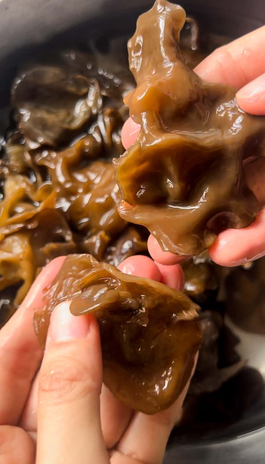 Wood Ear Mushroom Salad - The Foodie Takes Flight