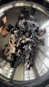 Wood Ear Mushroom Salad - The Foodie Takes Flight