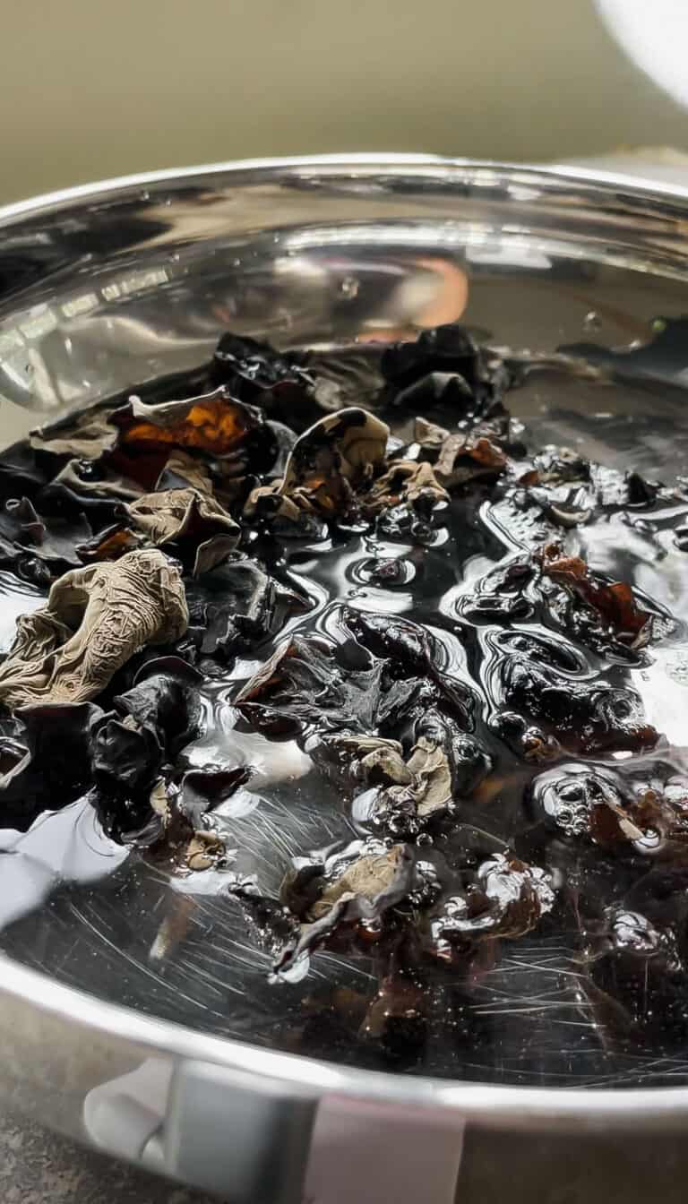 Wood Ear Mushroom Salad - The Foodie Takes Flight