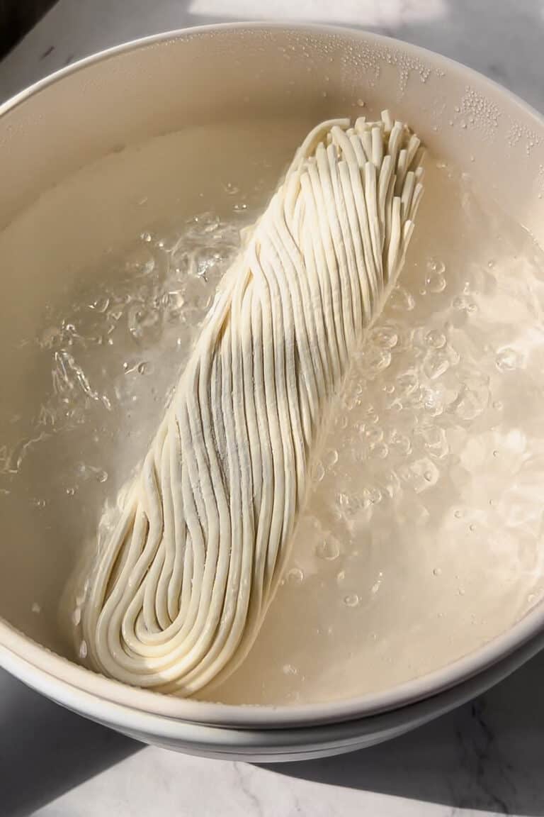 Chinese Sichuan Cold Noodles - The Foodie Takes Flight