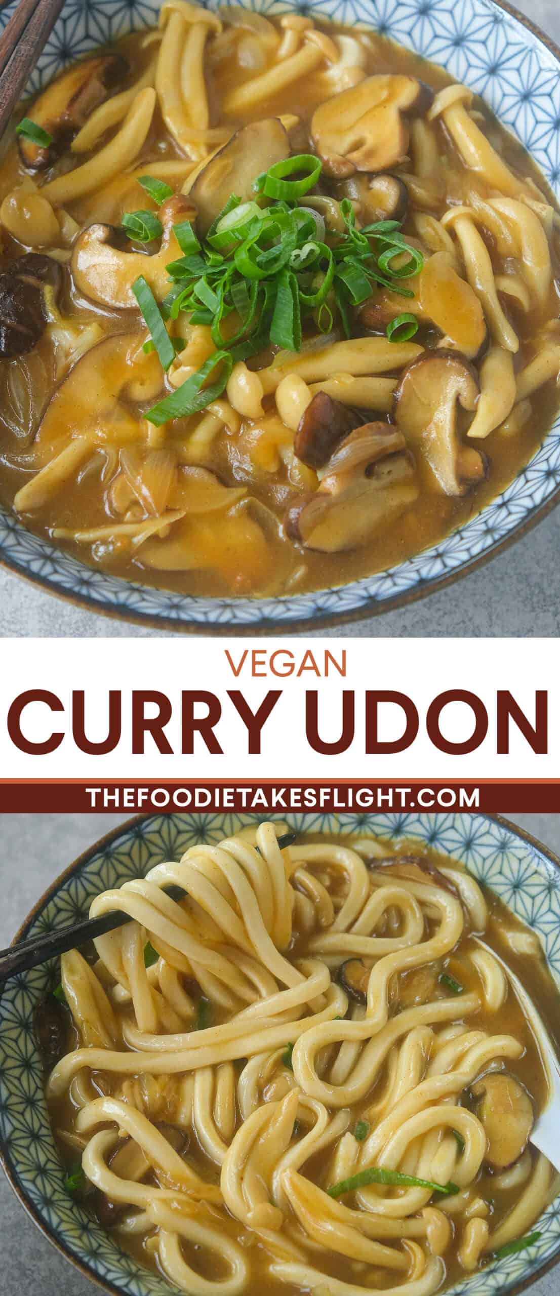 Japanese Curry Udon - The Foodie Takes Flight