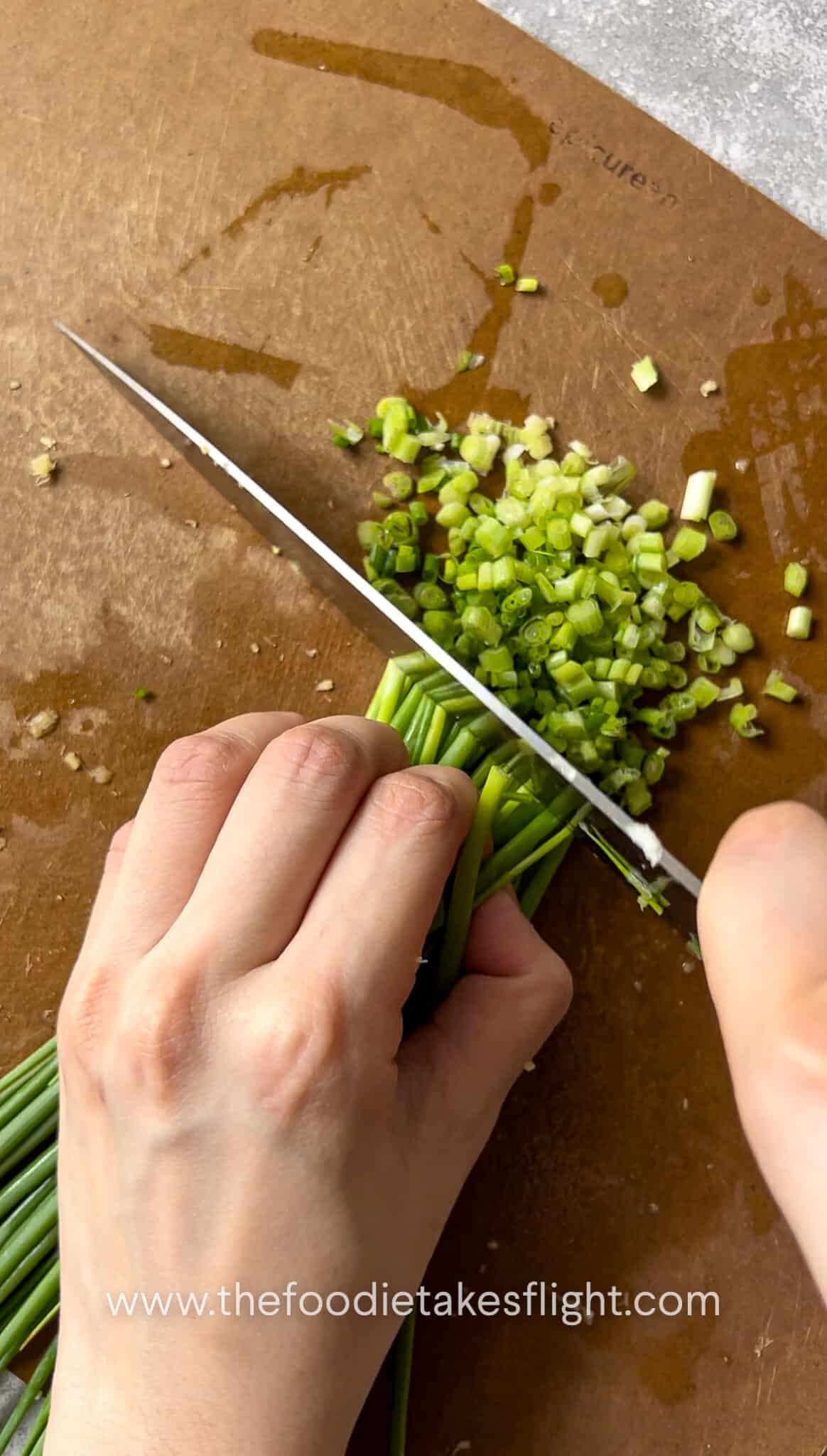 Pan Fried Tofu with Ginger Scallion Sauce - The Foodie Takes Flight