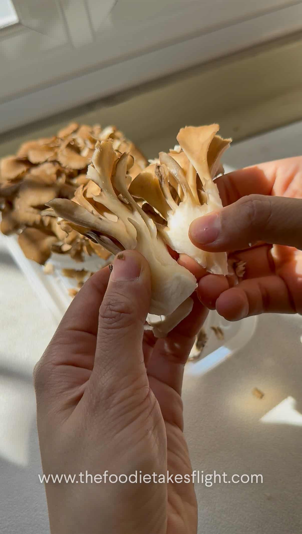 Seared Maitake Mushrooms with Ginger Teriyaki Sauce - The Foodie Takes Flight