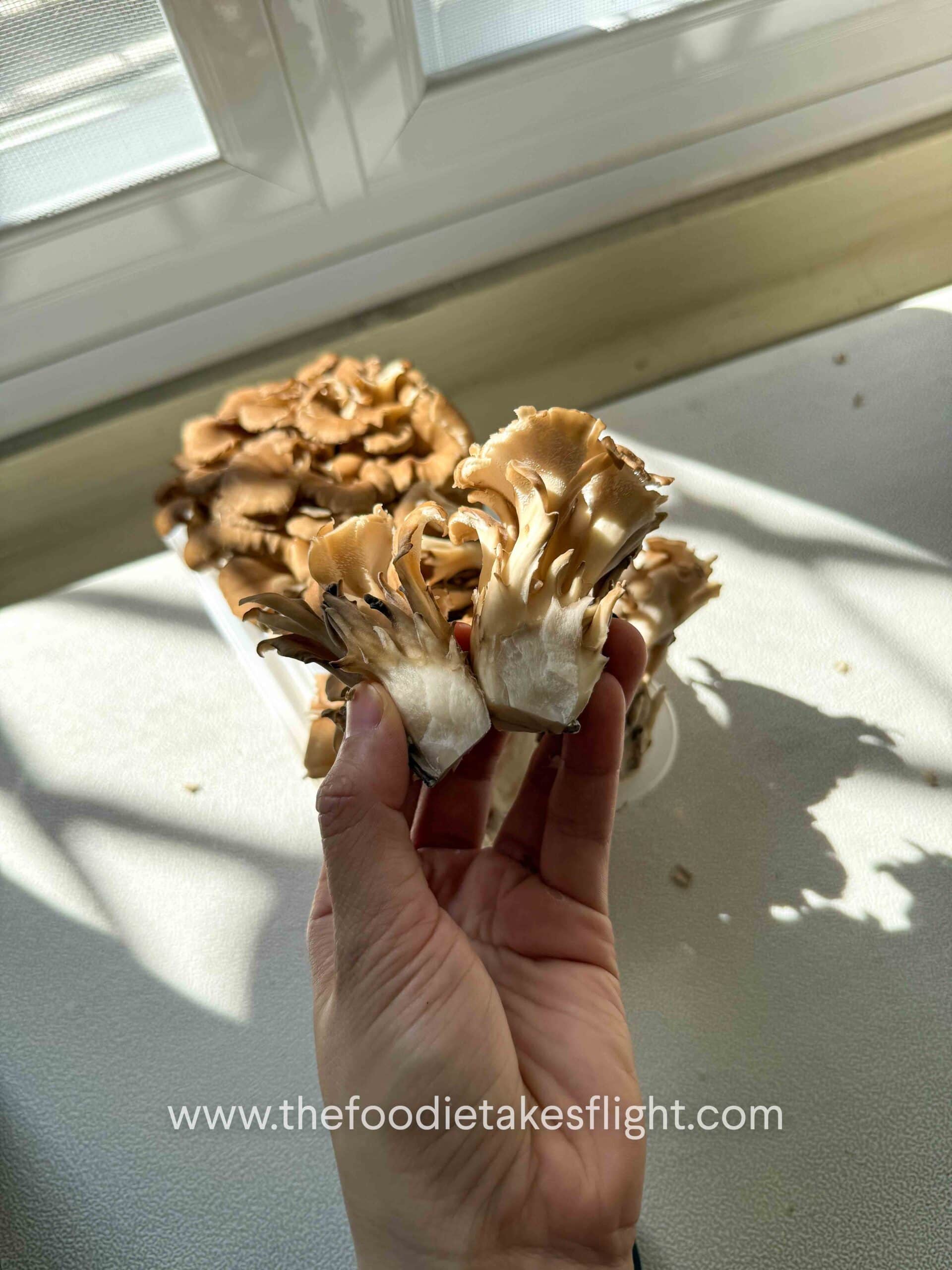 Fried Maitake Mushrooms (Twice-Fried + Super Crispy!) - The Foodie ...