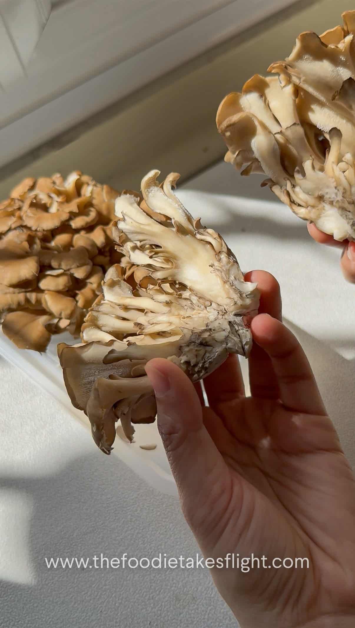 Seared Maitake Mushrooms with Ginger Teriyaki Sauce - The Foodie Takes Flight