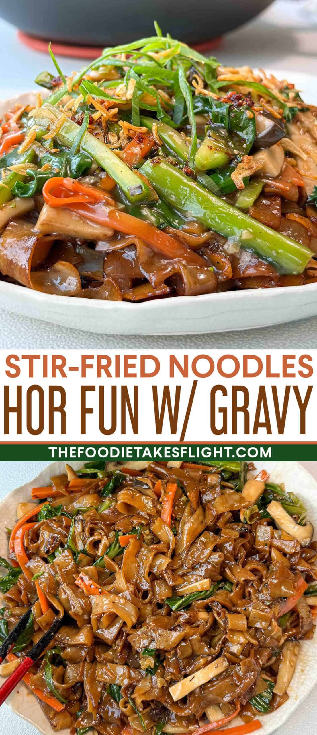 Stir-Fried Rice Noodles with Gravy (Hor Fun) - The Foodie Takes Flight